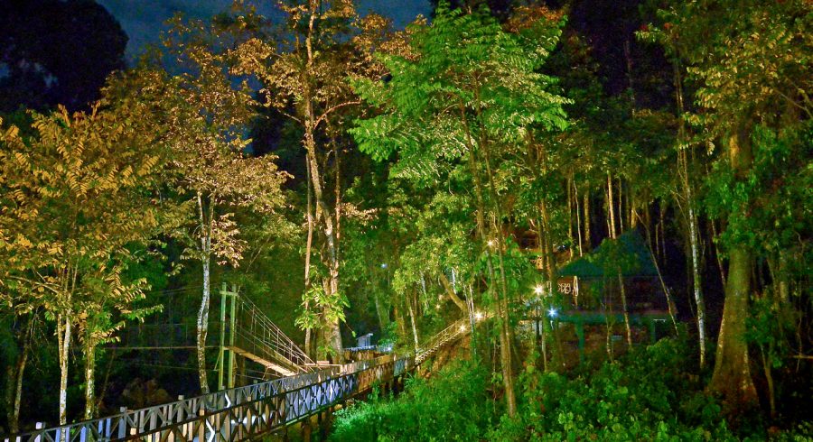 Tabin Wildlife Reserve Tours | Malaysia | Enchanting Travels